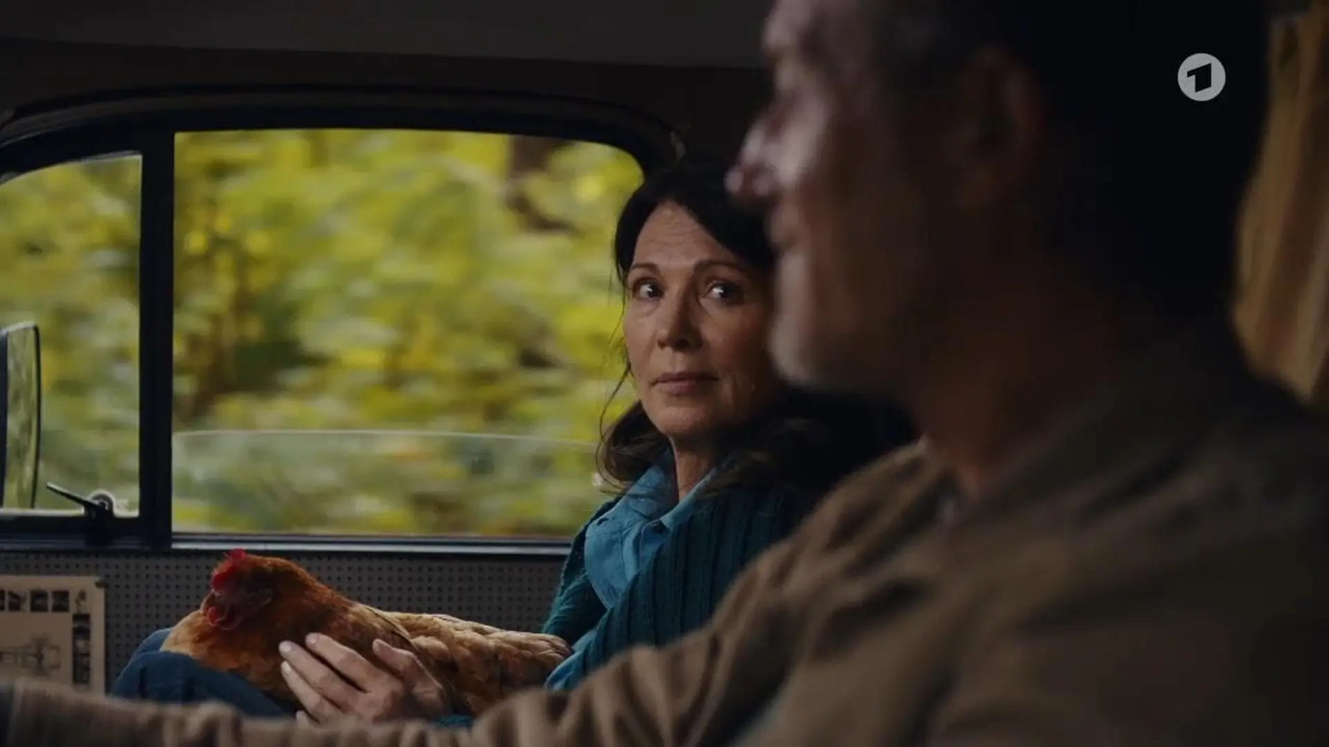 Kinoprogramm | TV-MEDIA