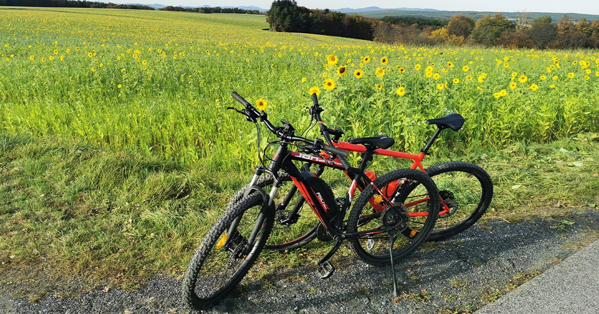 Radfahren in Österreich: Was man wissen muss [Ratgeber]